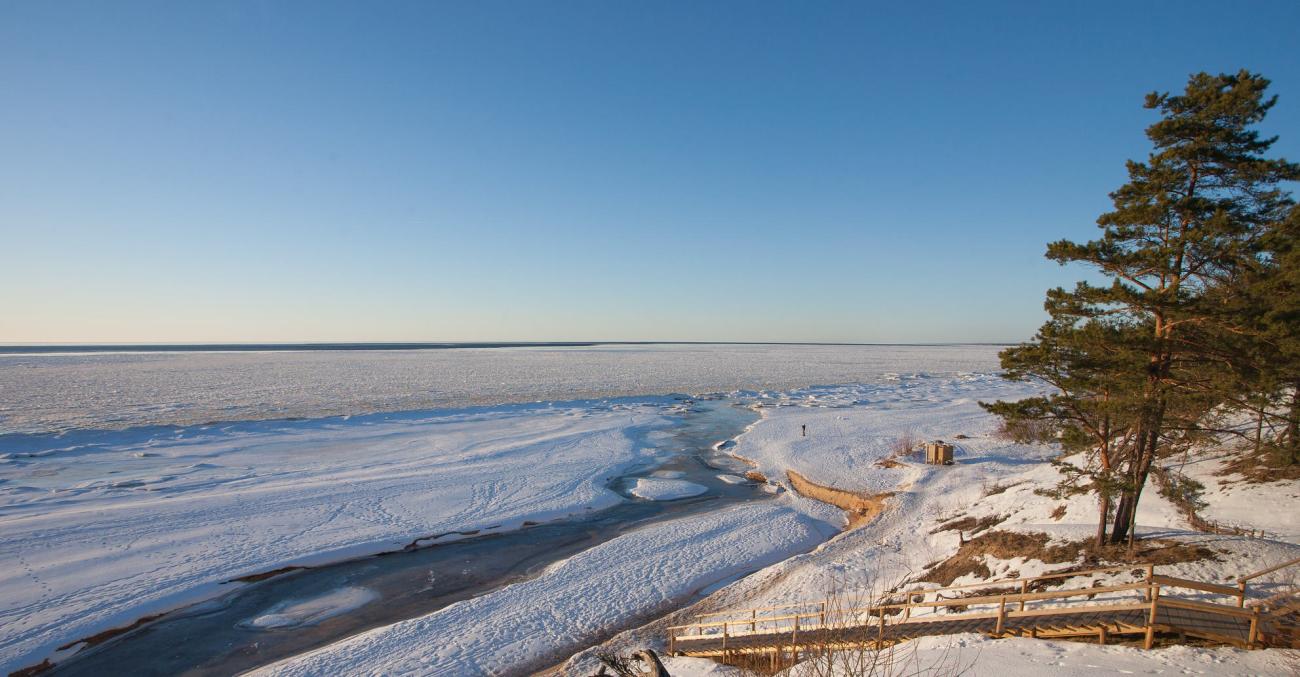 Baltic Sea coast