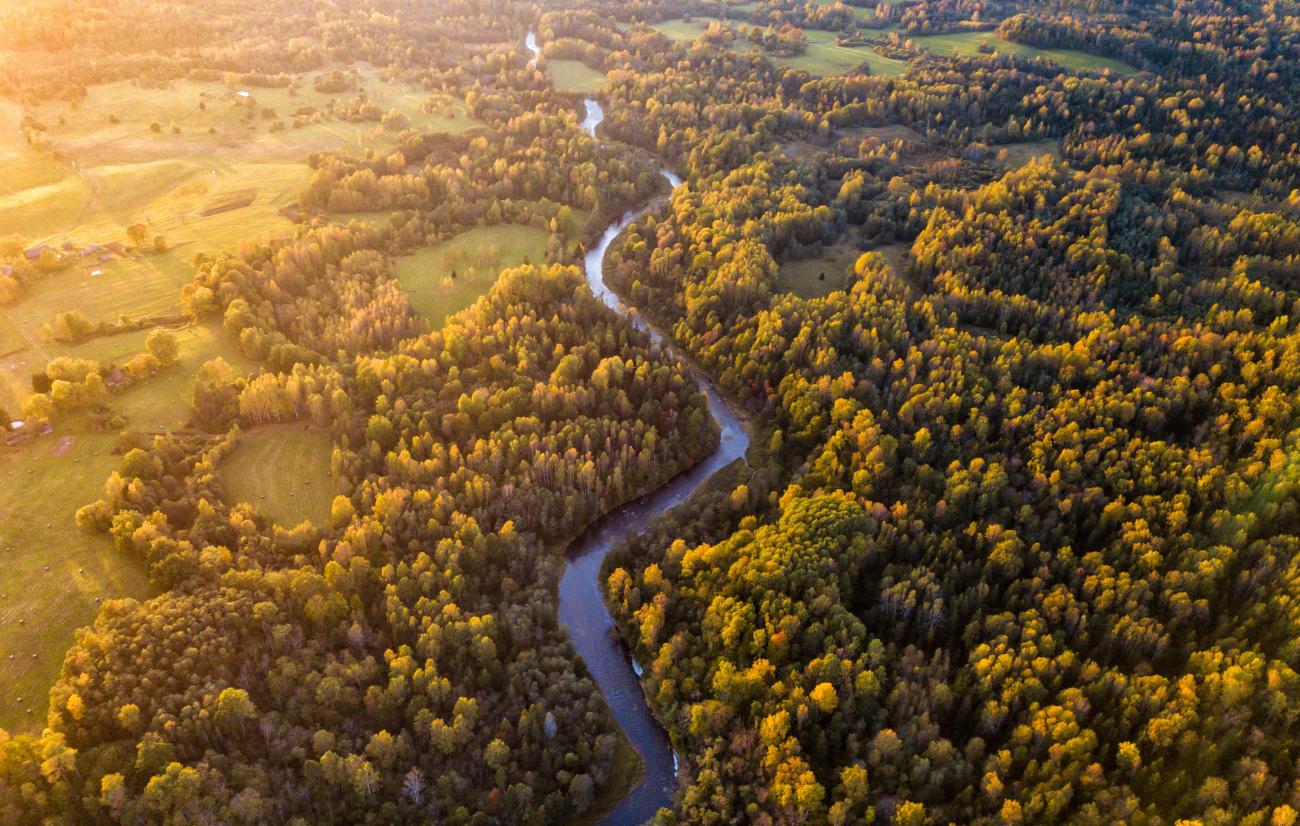 Dabas parki ainavu un dzīvnieku mīļiem | latvia.travel