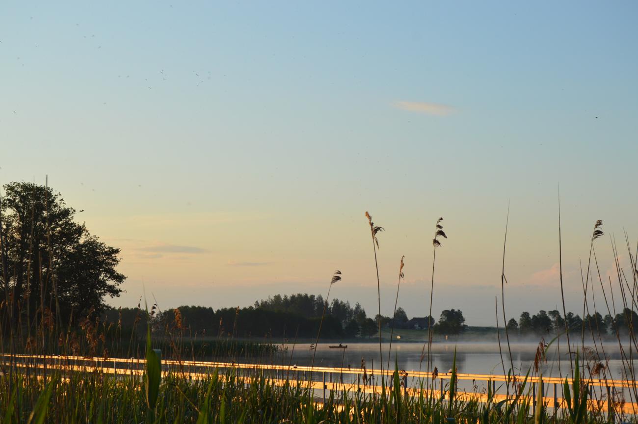 Vilaka lake island | latvia.travel