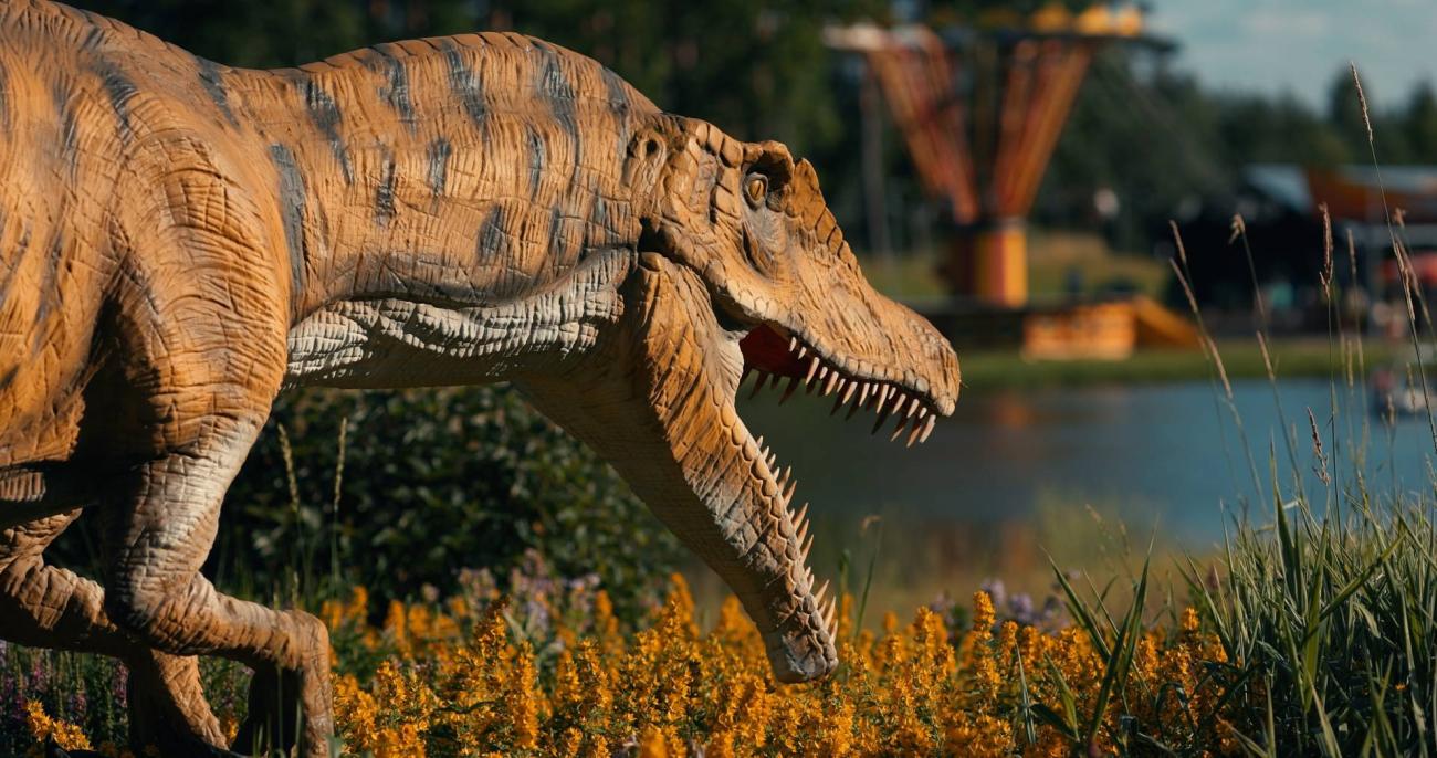 Amusement Park Abpark | latvia.travel