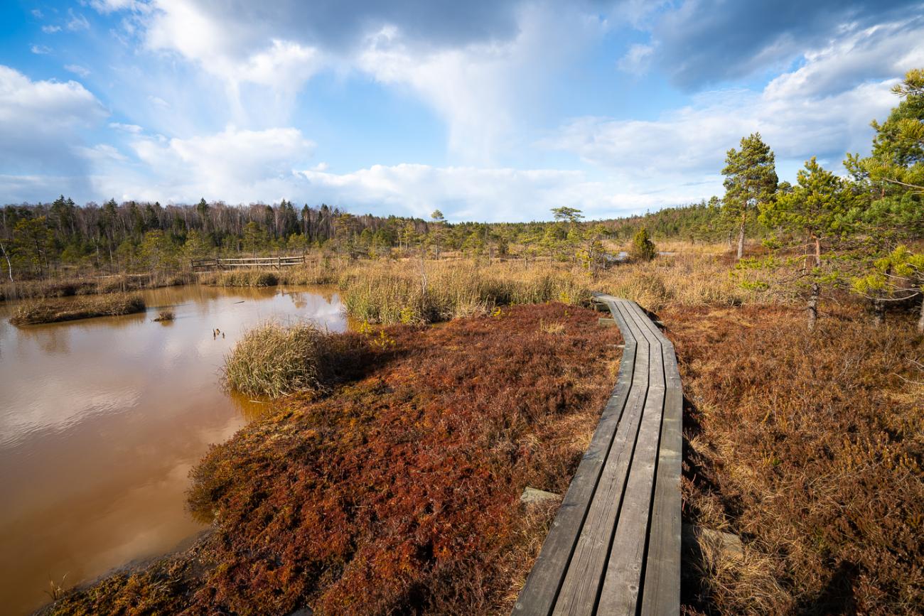 Raganu purvs un Sēra dīķu laipa | latvia.travel