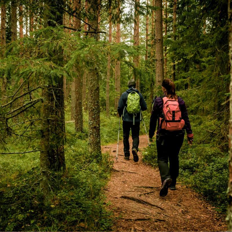 Long-distance hiking trails | latvia.travel