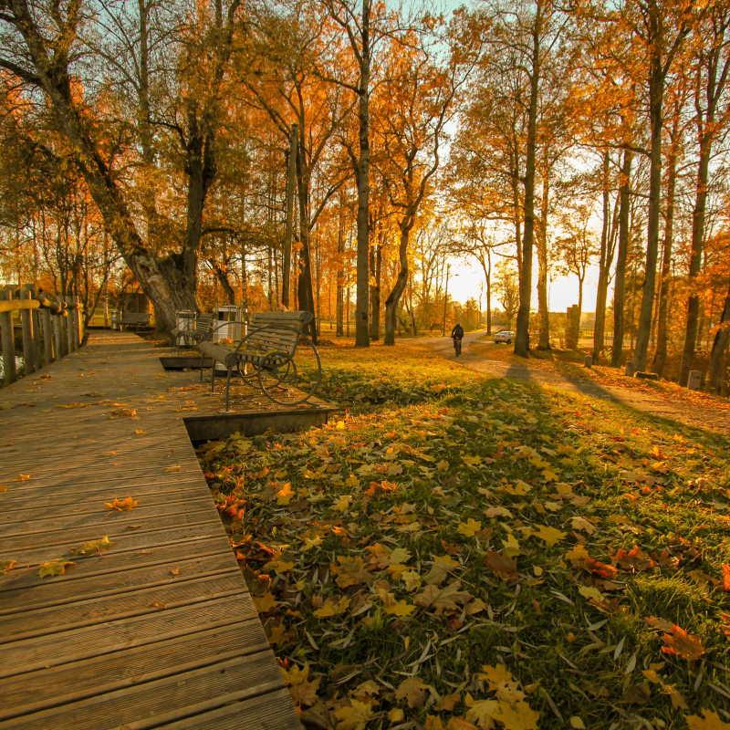 Zelta rudens Latvijā | latvia.travel