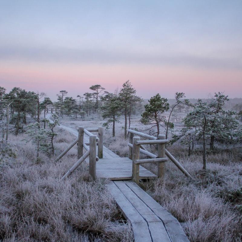 Attractions and activities in the winter wonderland of Kurzeme | latvia ...