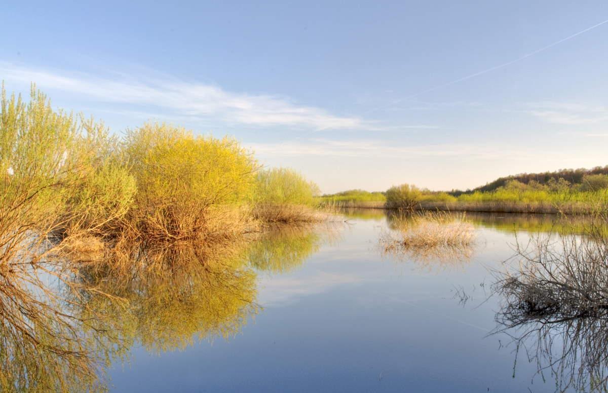 The most popular rivers for boating | latvia.travel