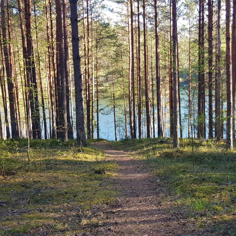 Ezeru pērles Latgalē | latvia.travel