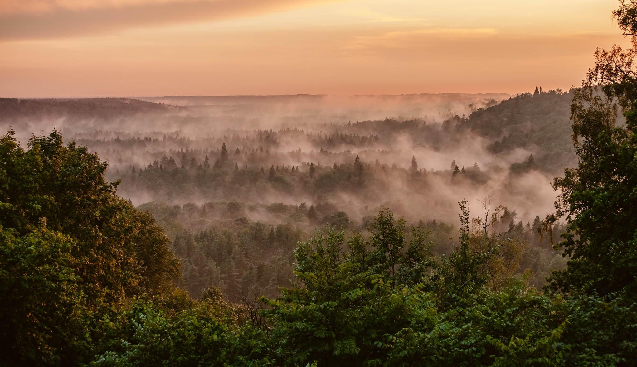Nature | latvia.travel