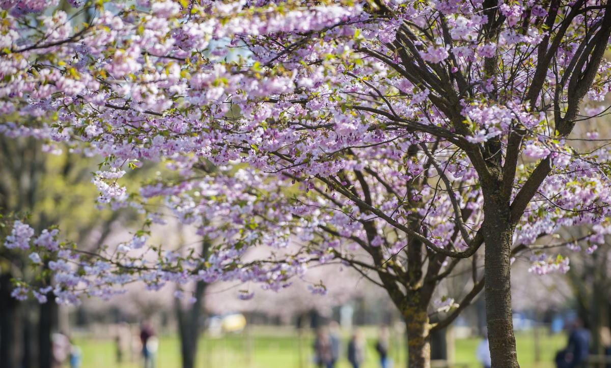 Four seasons in Latvia | latvia.travel