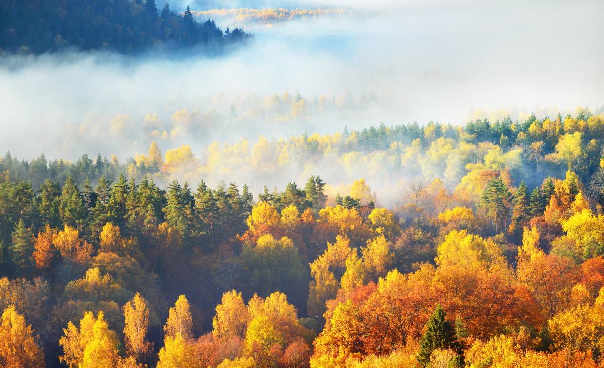 Four seasons in Latvia | latvia.travel