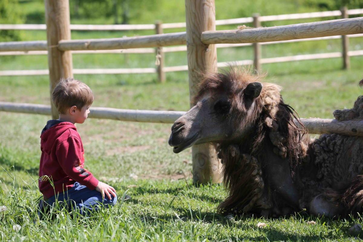 Zoos and farms | latvia.travel