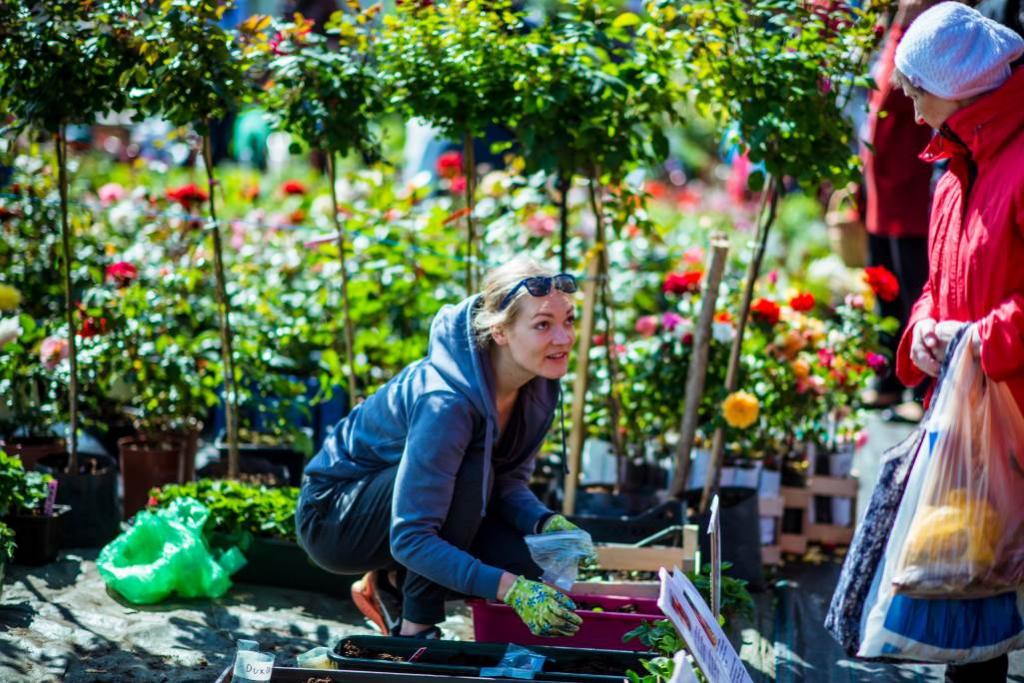 Plant Parade in Sigulda | latvia.travel