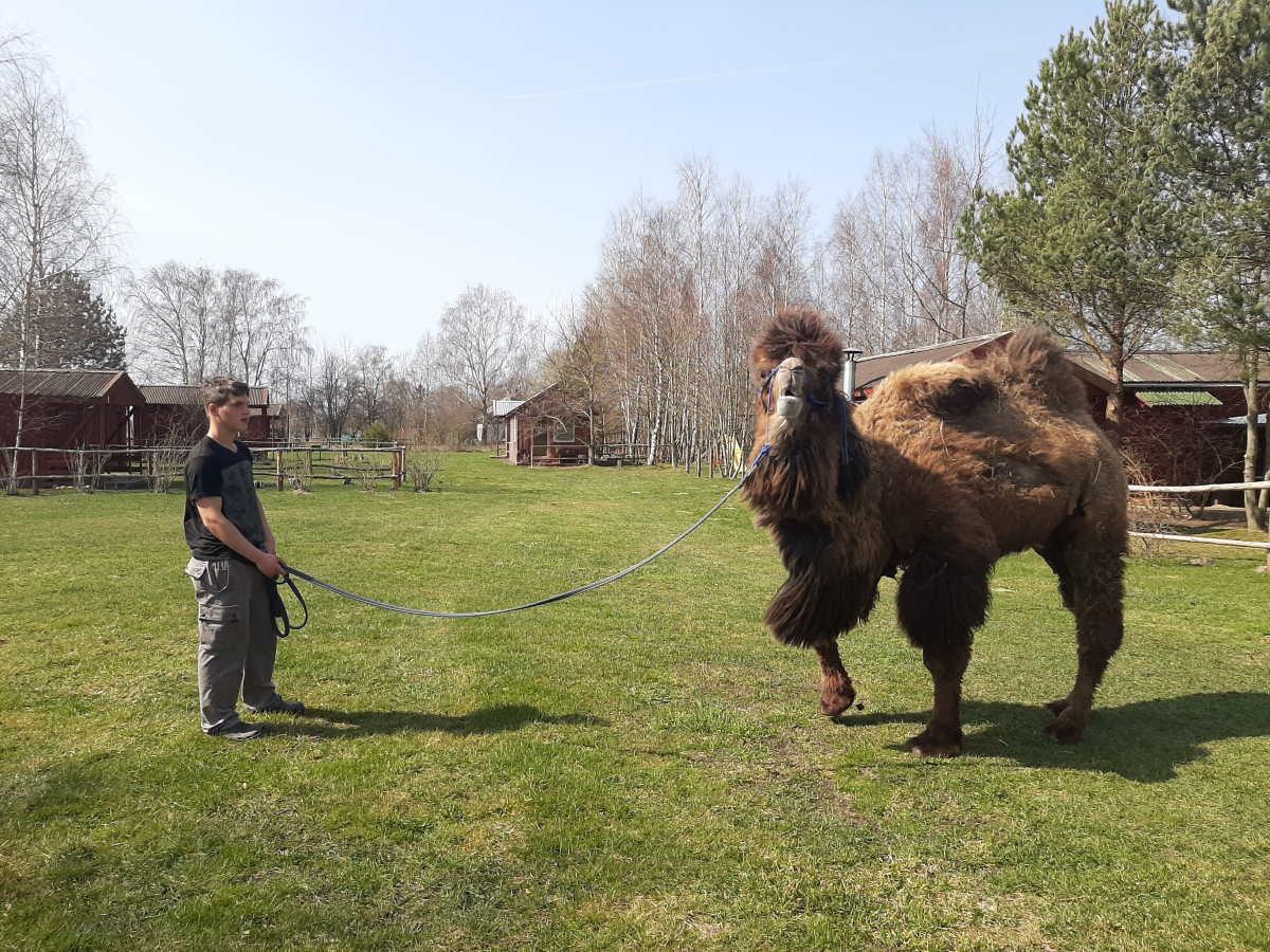 Mini Zoo "Buki" | latvia.travel