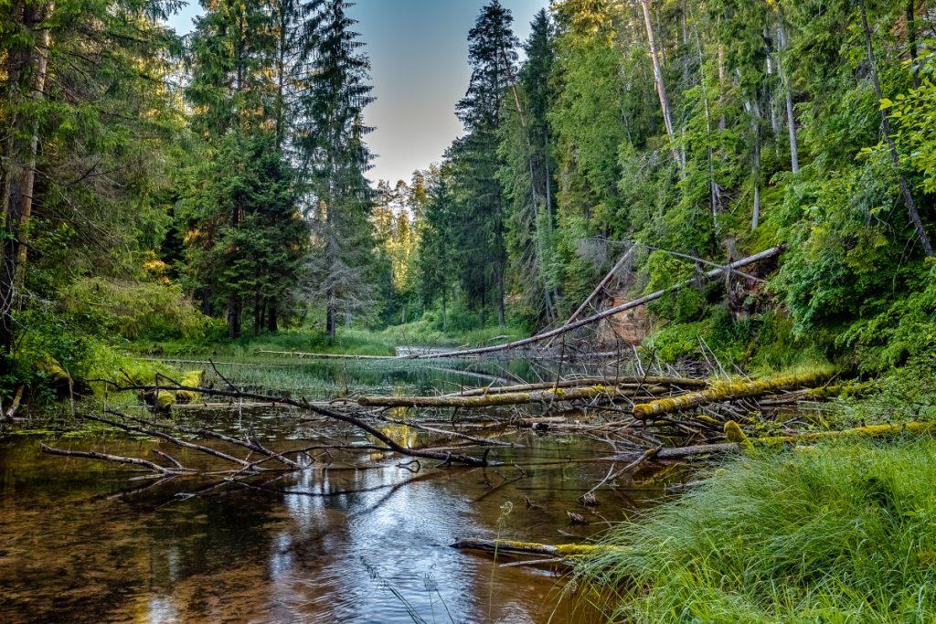 Idejas brīvdienām | latvia.travel