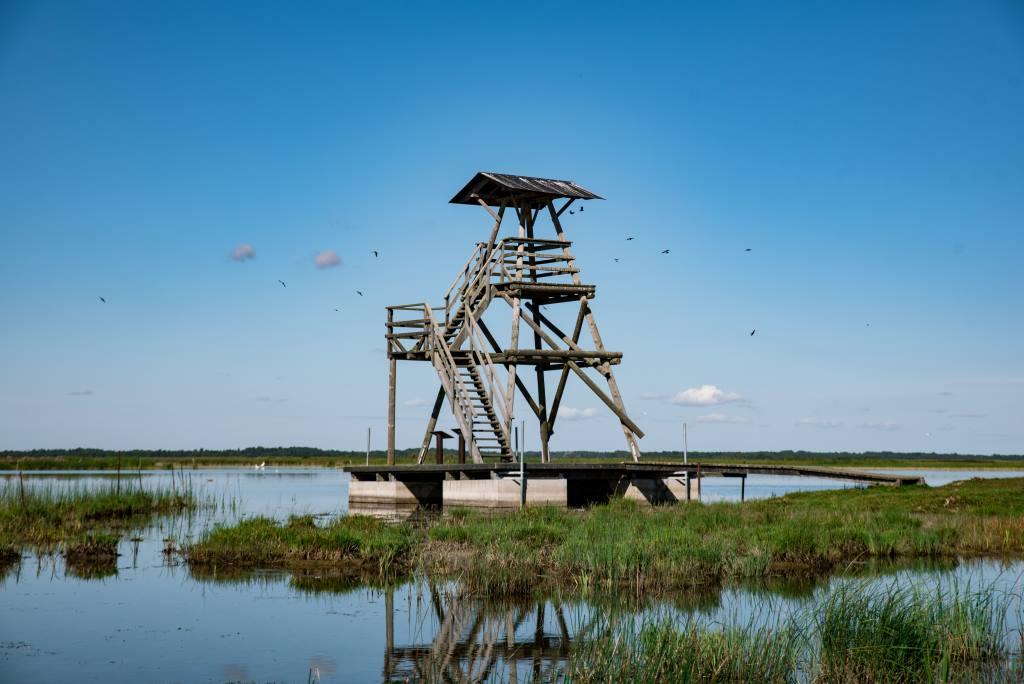 Dabas parks "Engures ezers" | latvia.travel