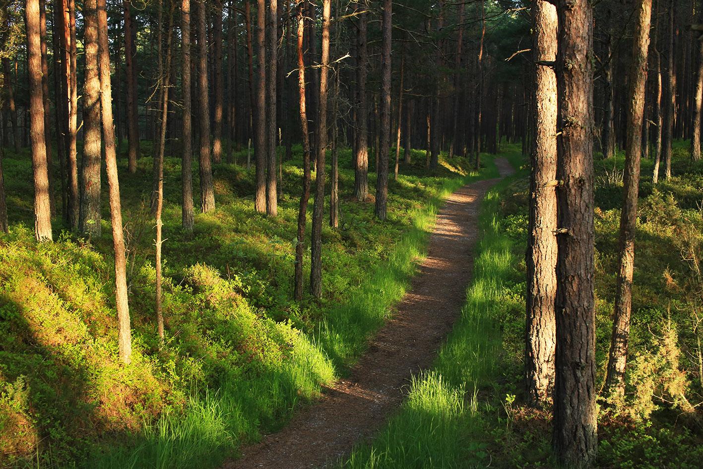 National Parks of Latvia | latvia.travel