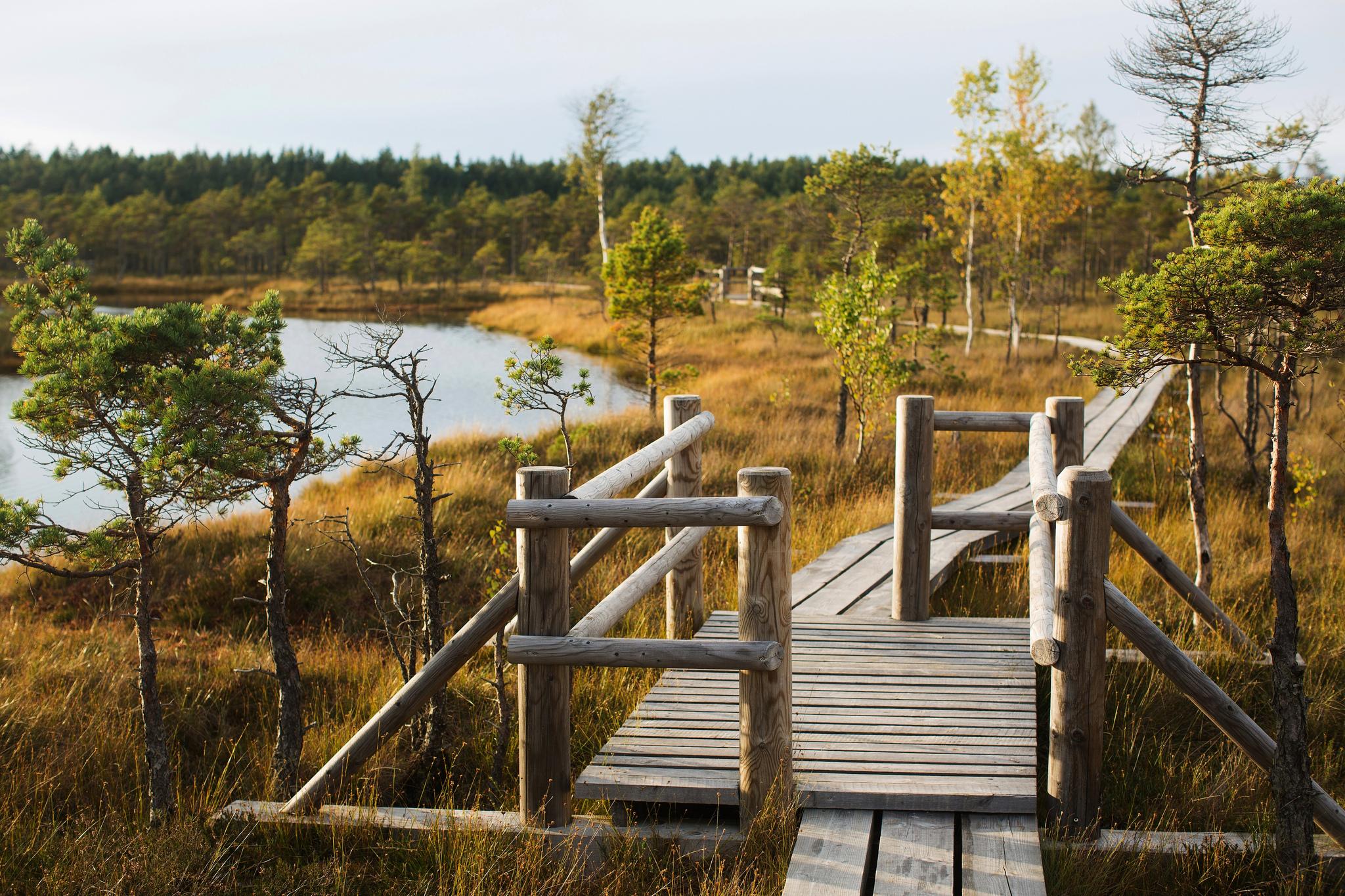 Kemeri National Park | latvia.travel