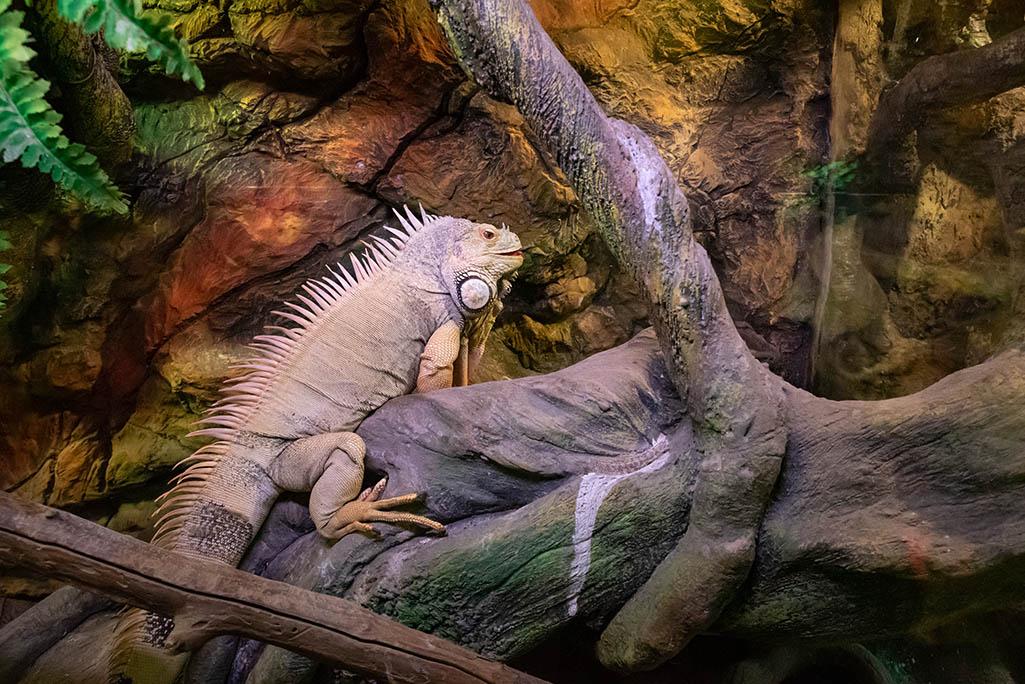 Latgale ZOO | latvia.travel