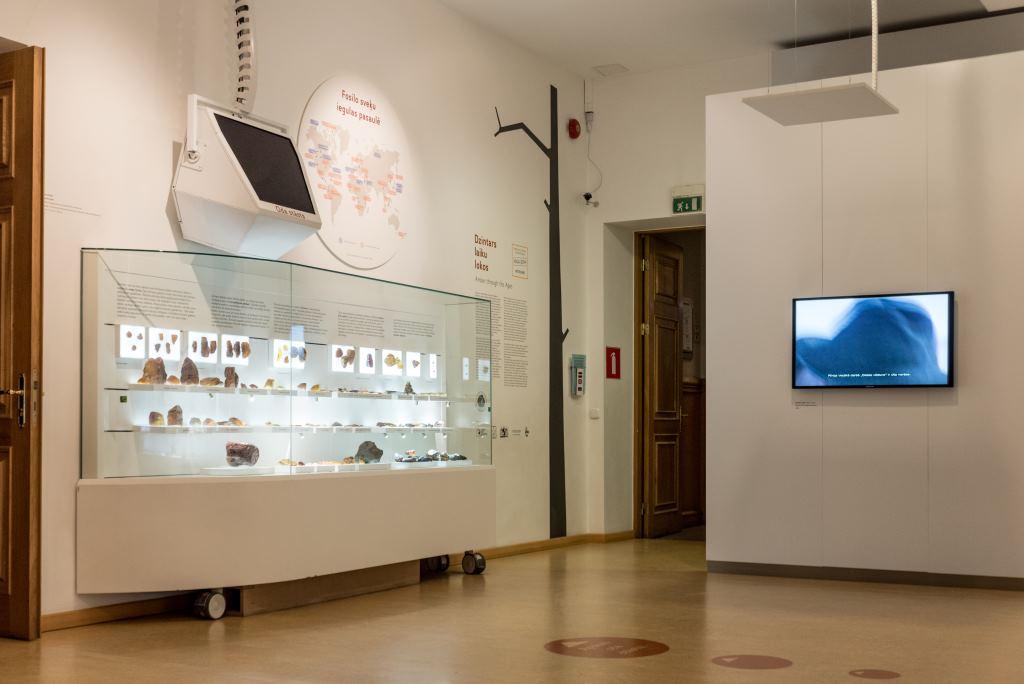 Latvijos nacionalinis gamtos muziejus | latvia.travel