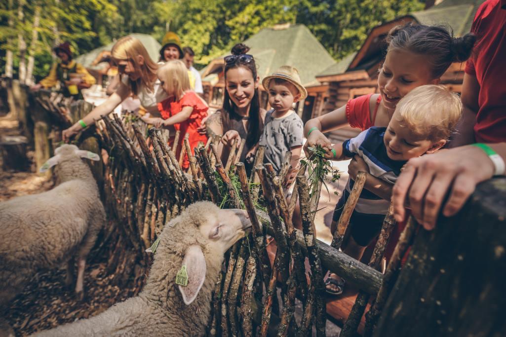 Tervete Nature Park | latvia.travel