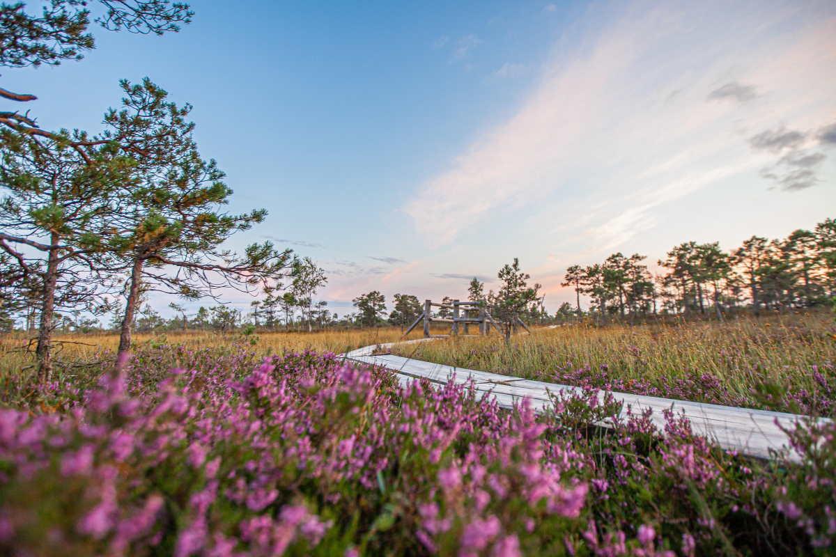 Kemeri National Park | latvia.travel