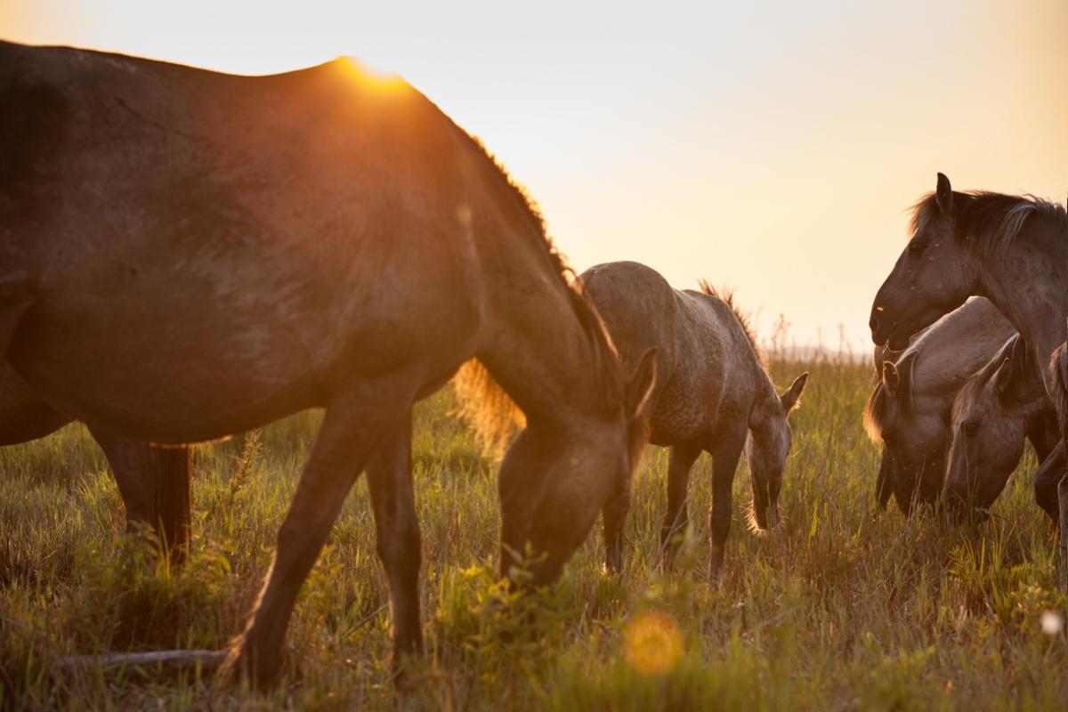 Pape Nature Park | latvia.travel
