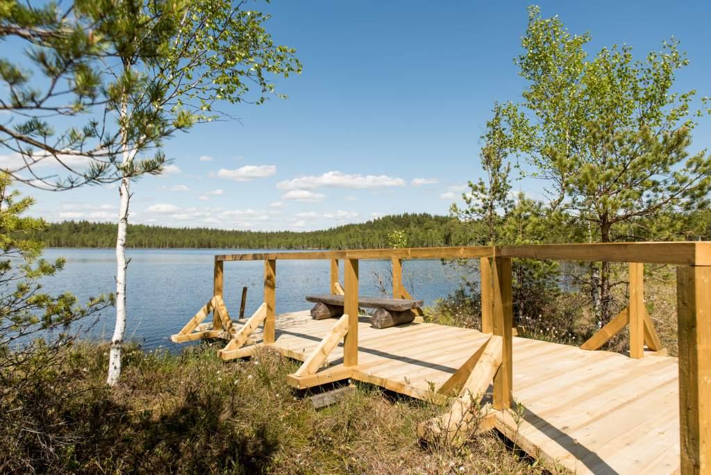 Teirumnīku purva taka | latvia.travel