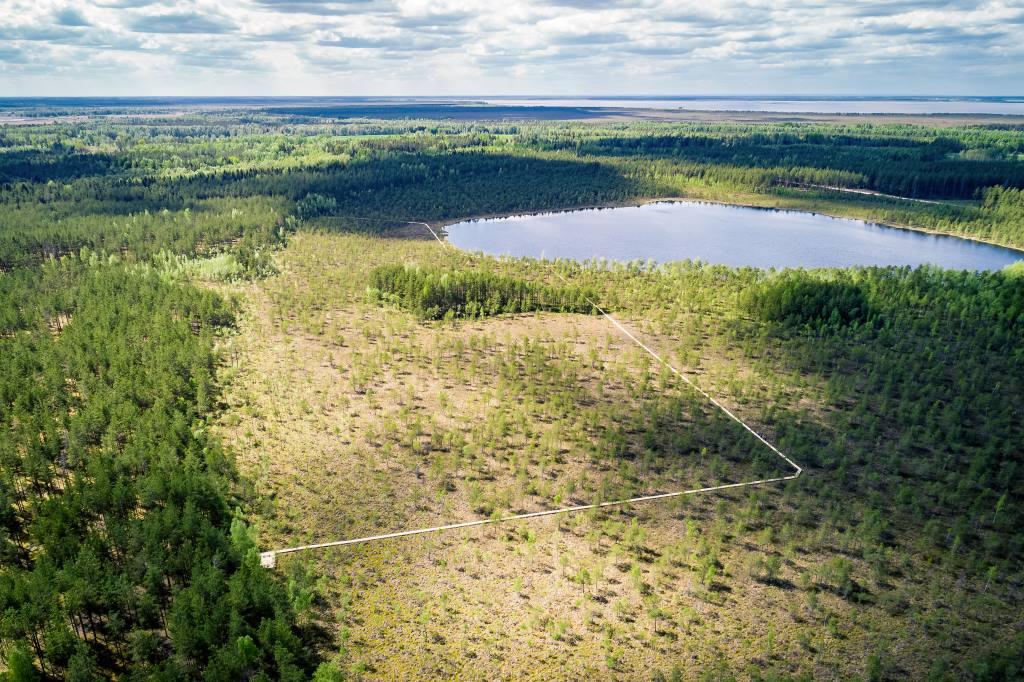 Teirumnīku purva taka | latvia.travel