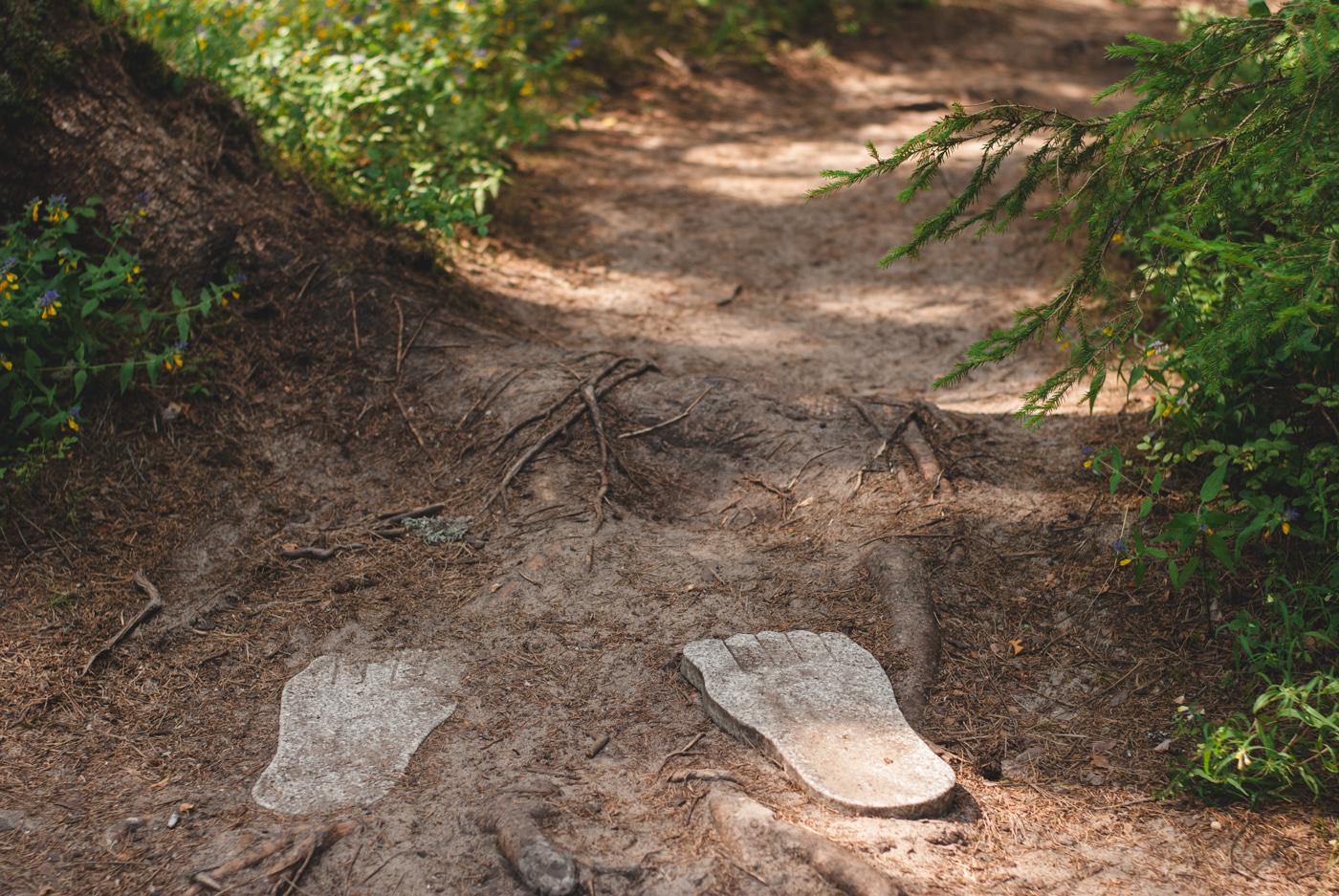 Valguma Pasaule | latvia.travel