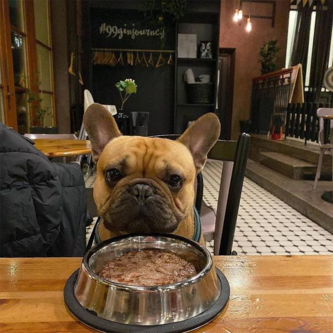 Holidays with dog | latvia.travel