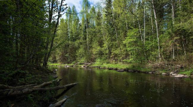 The most popular rivers for boating | latvia.travel