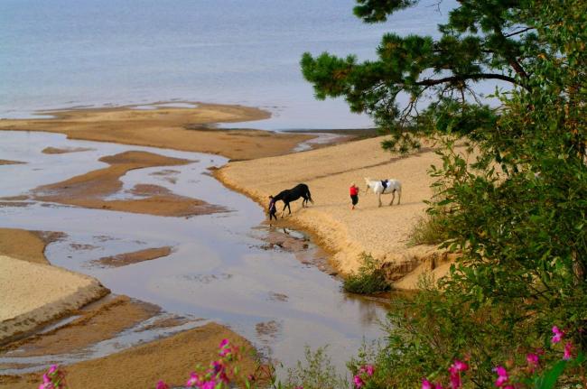 Zirgu izjādes | latvia.travel