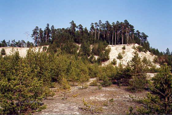 Pūsēnu kalns - Latvijas augstākā kāpa | latvia.travel