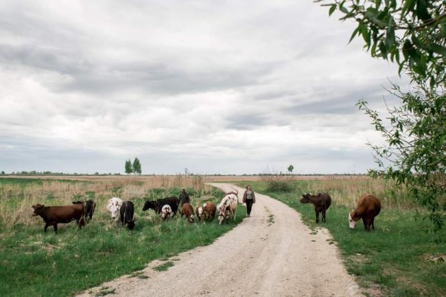 Lake Lubāns and its surroundings | latvia.travel